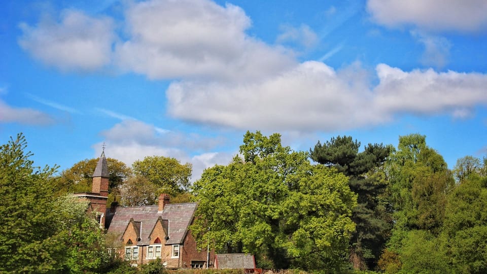 Diverse landscape with a host of wildlife