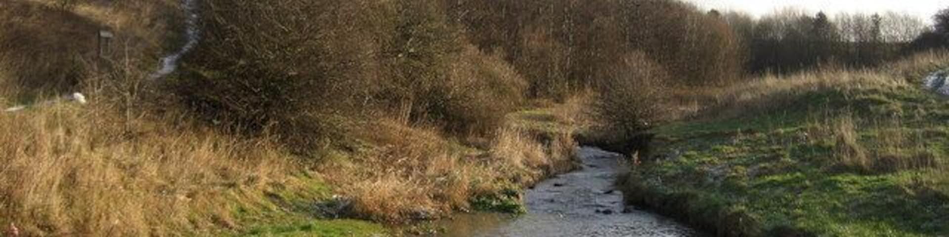 River Don, Boldon Colliery Rather a grand name for a small watercourse like this - seen here looking east, upstream from just below the Metro Station near Boldon Colliery