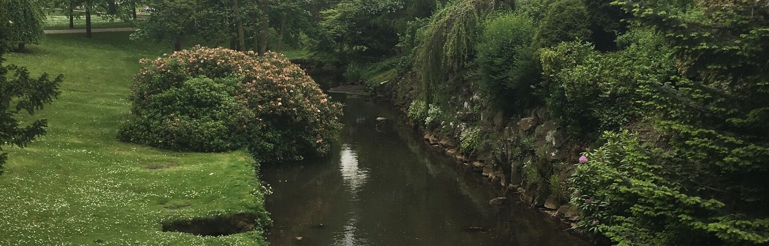 Um rio calmo serpenteando por um parque exuberante, com árvores densas e margens gramadas.