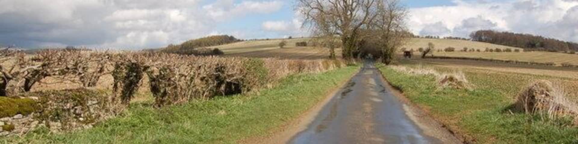 Uma estrada rural com muros de pedra e campos.