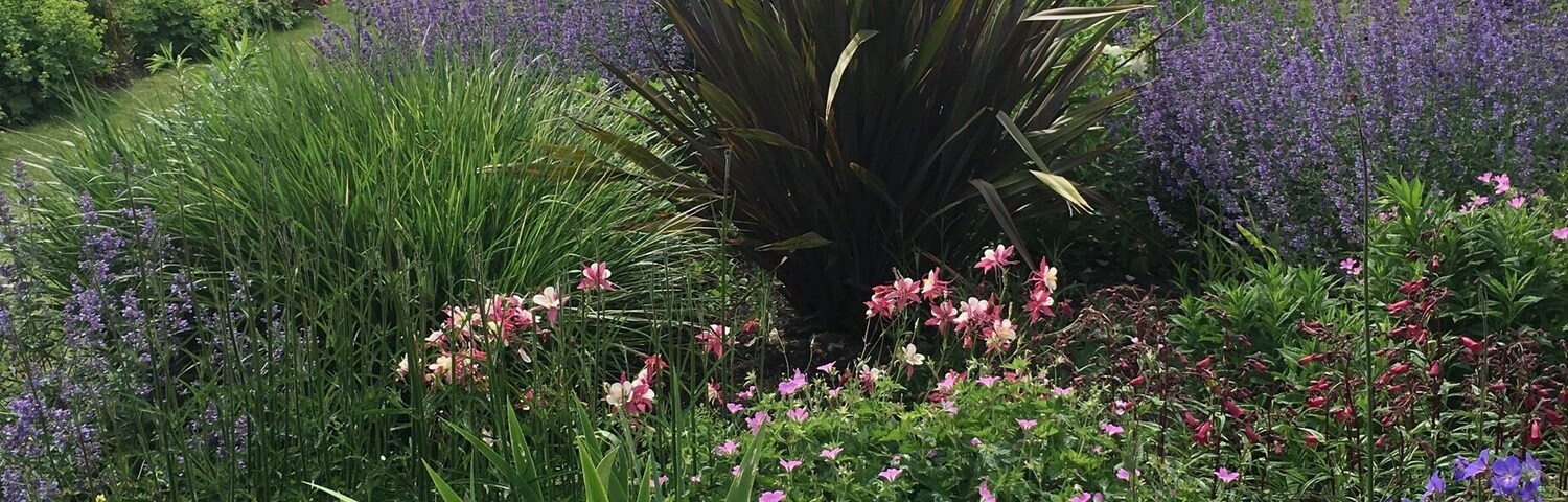 Beautiful gardens in Chichester