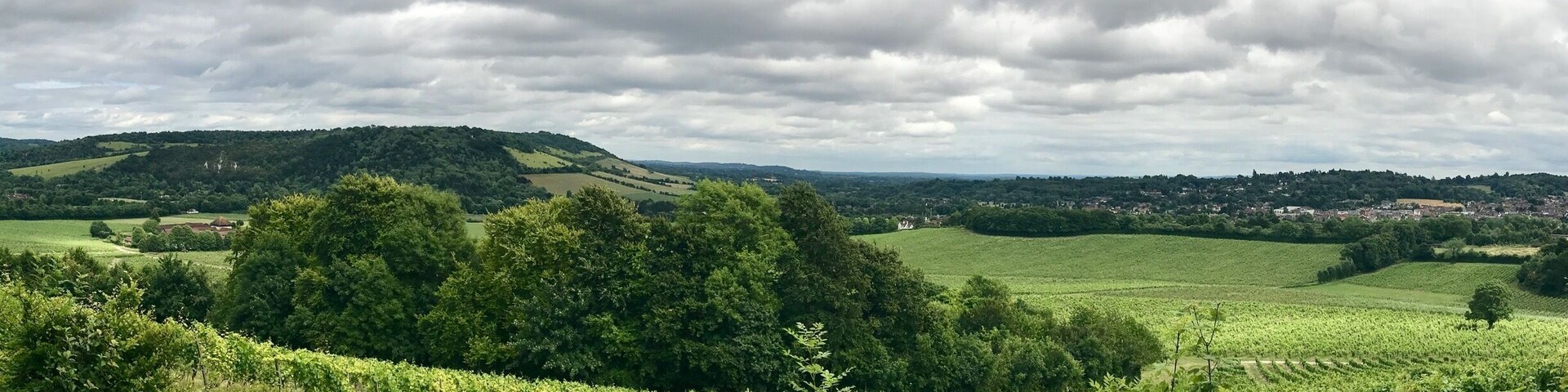 If you like wine then this wine estate is one of the places to see. Their classic collections are something you should try. Another must see when you visit England.