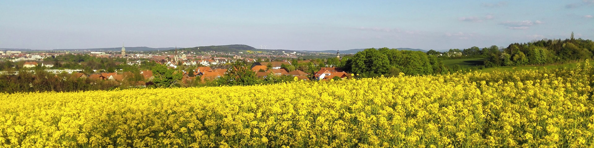 Blick vom Gallberg auf Hildesheim