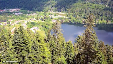 Um lago rodeado por floresta densa e uma pequena aldeia com casas e edifícios.