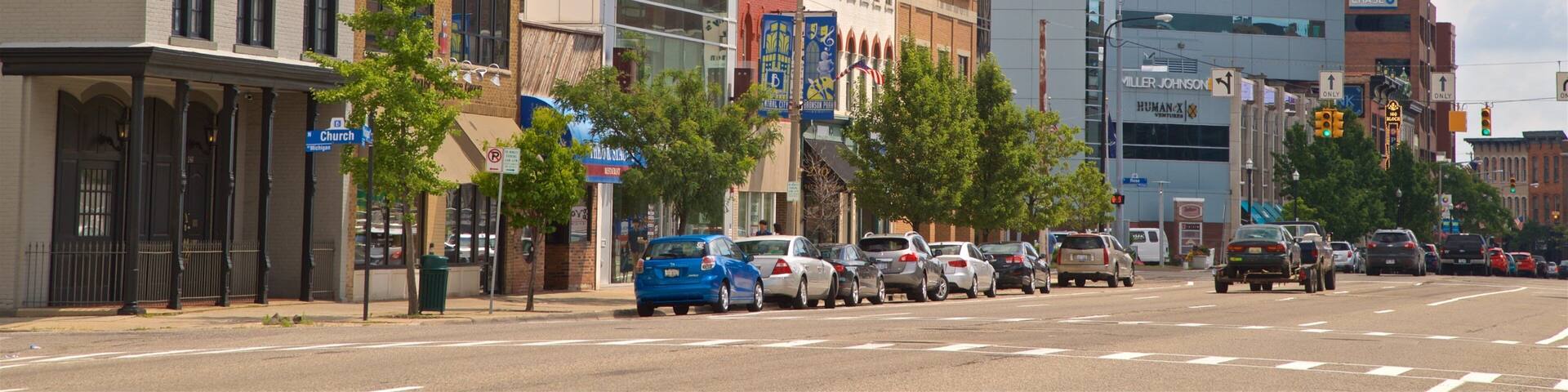 Kalamazoo featuring a city