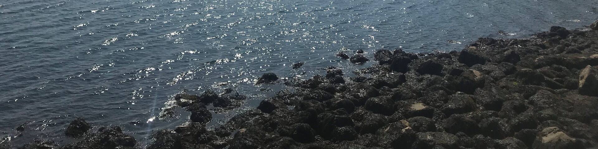 Stunning walk down the East Pier in Dun Laoghaire #Seagulls #Dublin #LifeAtExpedia #NoFilter