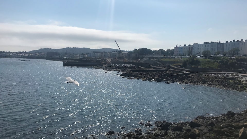 Stunning walk down the East Pier in Dun Laoghaire #Seagulls #Dublin #LifeAtExpedia #NoFilter