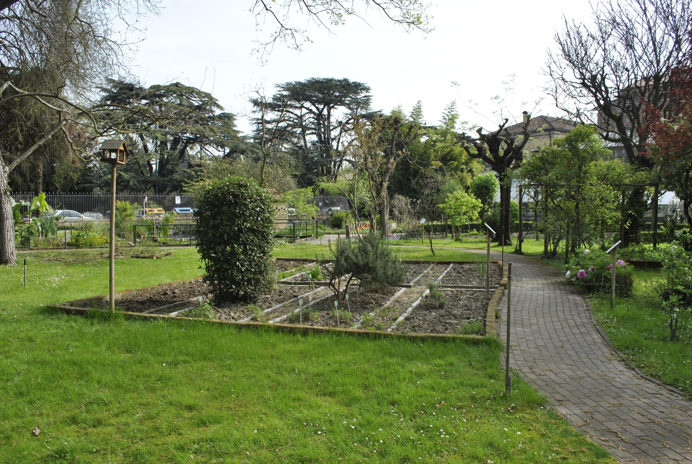 Um parque com uma passarela pavimentada, uma casa de pássaros e diversas árvores e arbustos.
