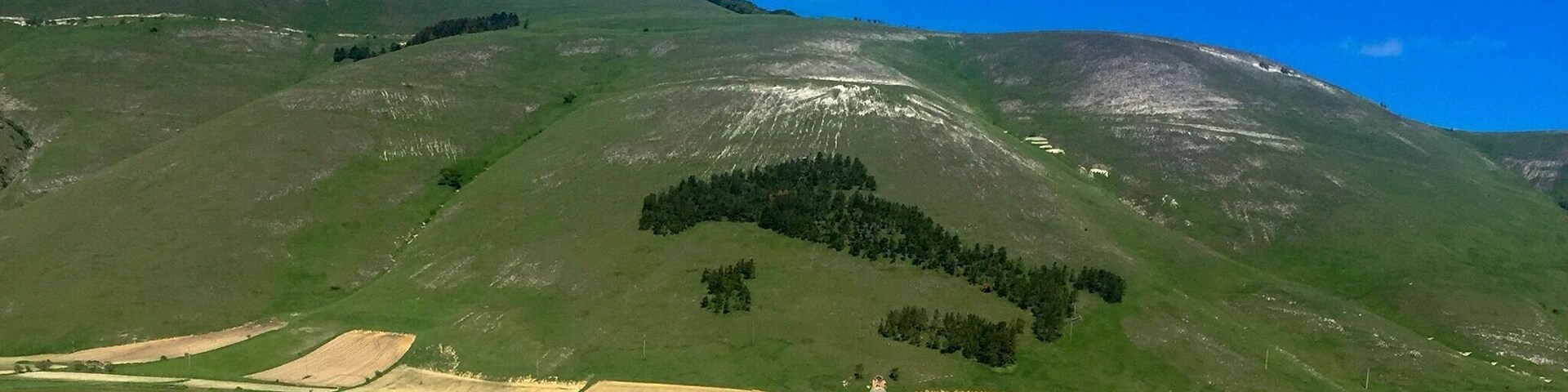 Il bosco Italia
