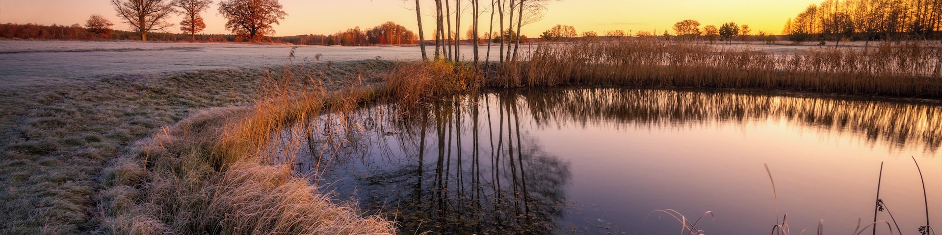Found this pretty neat composition this morning when I checked out a random golf course not far from where I live in Stockholm. Not much to say about it really but I thought it'd be fun to share it with you guys. Love these cold and frosty autumn sunrises.