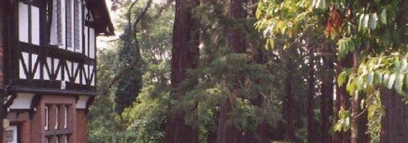 Uma estrada estreita ladeada por árvores altas e uma casa em estilo Tudor.