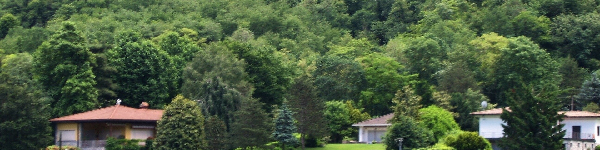 Um lago com casas e floresta densa.