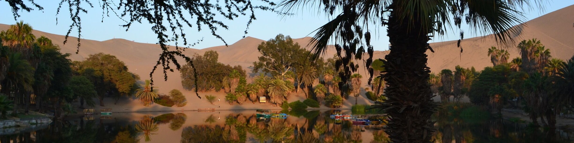 Desert oasis in Ica