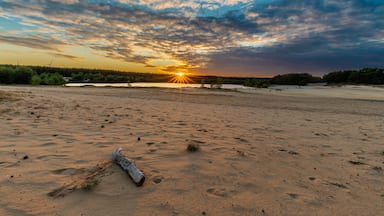 Um pôr do sol sobre uma paisagem arenosa com vegetação esparsa e céu limpo.
