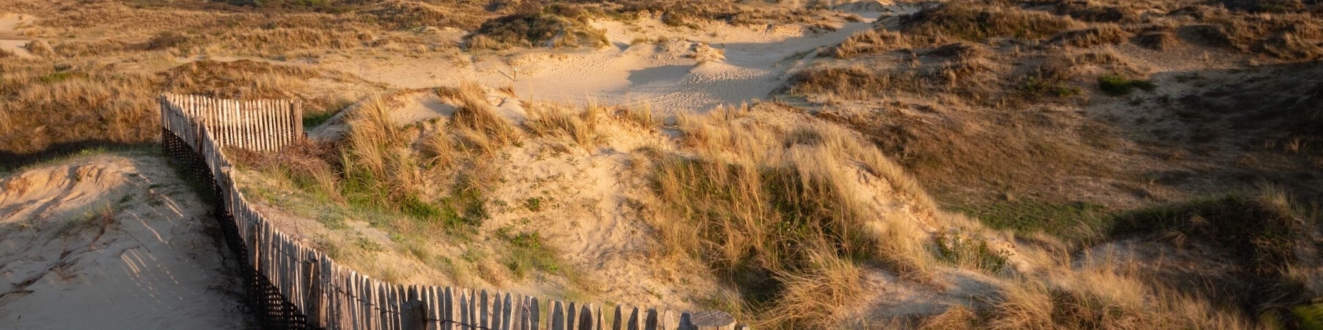 Sunset from the point of view in the middle of this wonderful nature reserve
More pictures on Instagram @thierryroyls
#BeachTips
#dunes #sand #sun #belgium #westvlaanderen #photographyspot #bestplacetobe