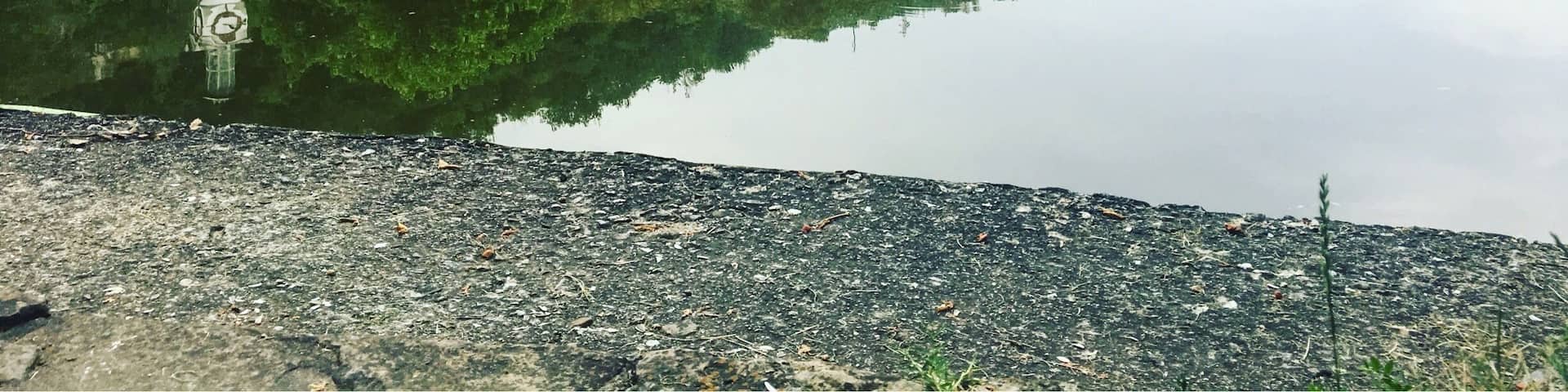 #Bulgaria #amazing #lake