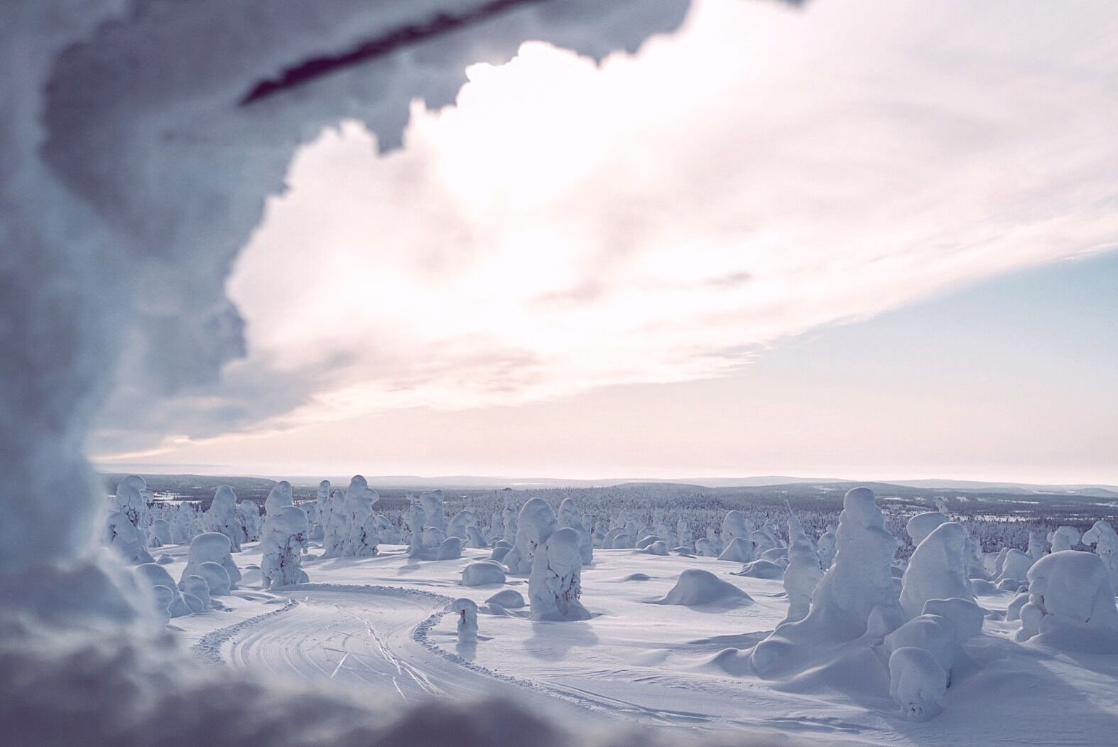 Paisagem nevada com árvores cobertas de neve e céu limpo.