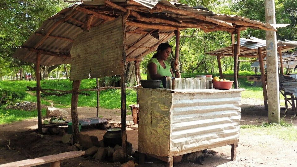As we walked 12km along the roads of Anuradhapura, we felt too tired. Fortunately, this poor looking shop was there. Though the appearance is so, Orange juice made by this lady is delicious. It completely reduced our thirst and tiresome nature.
People in these poor villages prefer to do these kind of shops in order to earn something more. Their principal way of earning is agriculture. But it's really difficult to overcome the battle of living as they don't have enough money even to buy primary necessities.