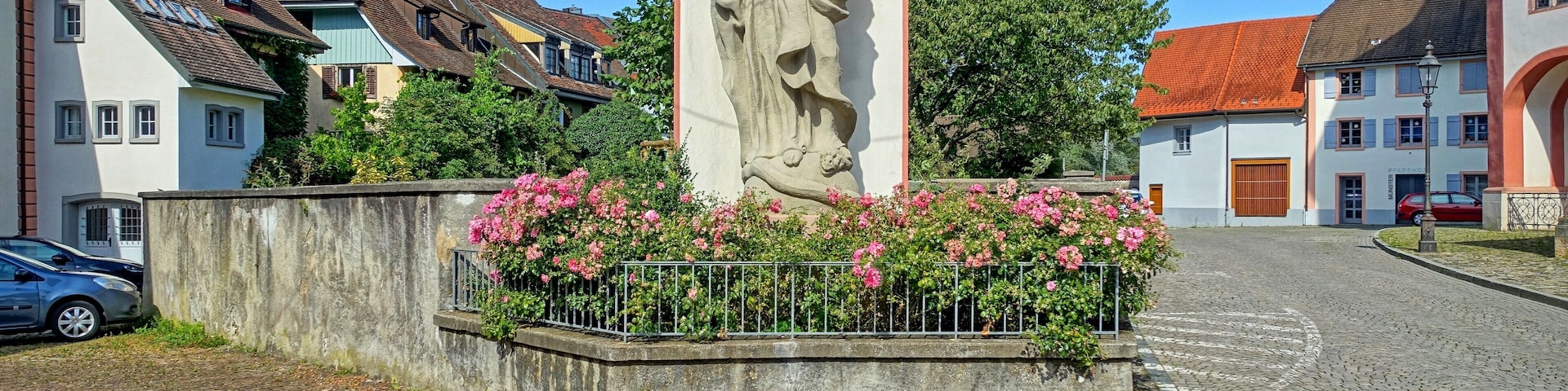 Die Marienstatue steht an der Nordseite des Münsters vor der Mauer des Pfarrgartens. Früher befand sich hier der Friedhof. Die Statue wird durch eine kunstvoll geschwungene Überdachung und eine Rückwand geschützt. Die etwa vier Meter hohe Marienstatue wurde 1727 geschaffen und in der Fassadenmitte zwischen den Münstertürmen aufgestellt. Sie hat den Brand des Münsters im Jahr 1751 überstanden. Starke Verwitterung hatte den Sandstein dieser Statue so stark geschädigt, dass sie durch eine Kopie ersetzt werden musste. Am jetzigen Standort steht die Madonna von 1727 seit dem Jahr 1913. Durch mehrere fachgerechte Restaurierungen ist nicht mehr erkennbar, dass es sich hier um die Original-Statue handelt. Kunstgeschichtlich wird dieser Madonnentypus als "Immaculata" (Der unbefleckten Empfängnis) bezeichnet. Das Haupt Marias ist von zwölf Sternen umkränzt, die Schlange als Symbol der Sünde, die sich um die Weltkugel windet, wird von Maria zertreten. Die Zahl zwölf steht für: die zwölf Stämme Israels, die zwölf Apostel, die zwölf Tierkreiszeichen, die zwölf Monate – symbolhaft für Vollkommenheit und Vollständigkeit. Da die Europafahne am 8. Dezember 1955, einem Marienfeiertag, vom Ministerrat in der bestehenden Form bestimmt wurde, wird sie in Verbindung mit Maria gebracht. Besonders die blaue Farbe und auch die zwölf Sterne sind ein symbolhafter Hinweis. Die zwölf goldenen Sterne auf blauem Hintergrund versinnbildlichen sämtliche europäischen Nationen, eben als Symbol der Vollständigkeit. Die Marienstatue hat der aus Bayern stammende Bildhauer Michael Speer im Jahr 1727 geschaffen. Der graue Sandstein stammt aus dem Fricktal.