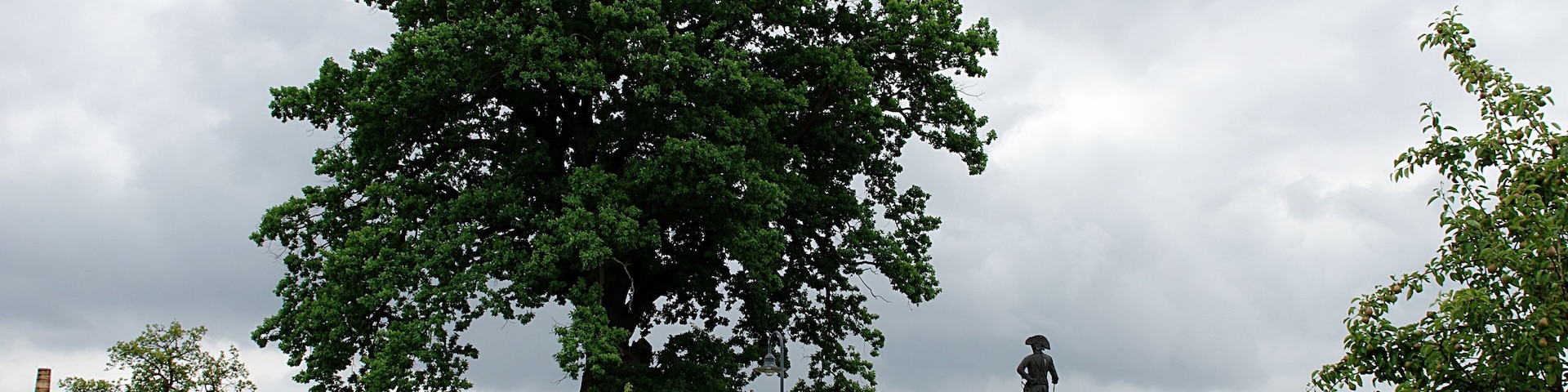 Jüterbog in Brandenburg. Der Platz ist der Mittelpunkt des Ortsteils Kloster Zinna und der Webersiedlung. Der Platz ist Teil der Webersiedlung und somit denkmalgeschützt. Zusätzlich ist die Friedenseiche ein Naturdenkmal. Rechts von der Friedenseiche befindet sich ein Denkmal für Friedrich II., dem Gründer der Webersiedlung.