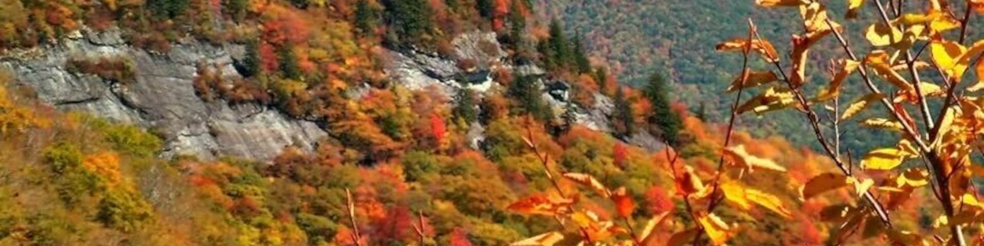 This photo was taken from the Blue Ridge Parkway, in Watauga County in Boone. I chose this to post this photo because it gave me an idea of the way the people that founded this county lived. They worked on these mountains and possible even lived of the land here. Also, when you look out into the miles of mountains, I get the feeling of safety knowing these mountains surround me, and thats how I feel the Appalachian community is, a safe and humble community.
#appalachianechoes