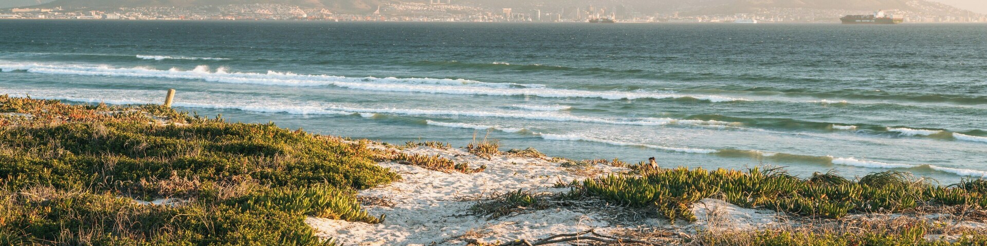Paisagem costeira com praia de areia, vegetação verde e um horizonte urbano ao fundo.