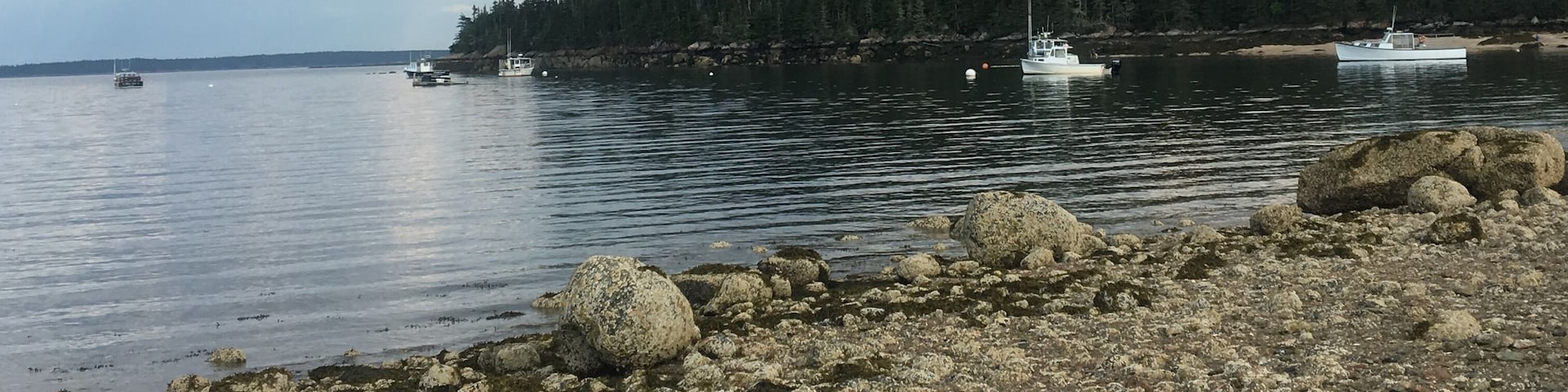 #lifeatexpedia
Maine beaches are so peaceful!