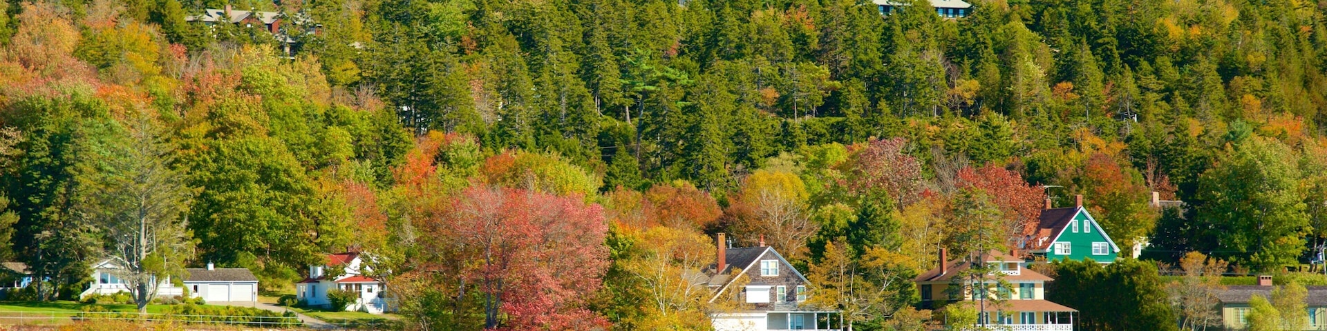 Seal Harbor featuring general coastal views and a coastal town