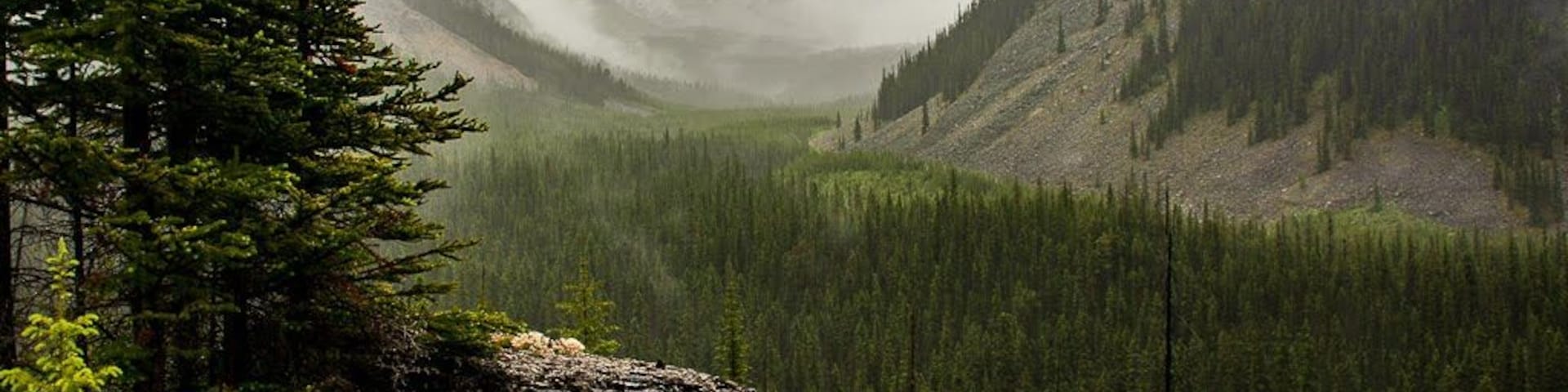 Where the road ends, the adventure begins...
This back country area is a bit of a drive to get to but provides a view well worth it! Access to the Beehive Natural Area in Alberta is possible from here.
#thalladayphotography #elkvalley
#mybackyard