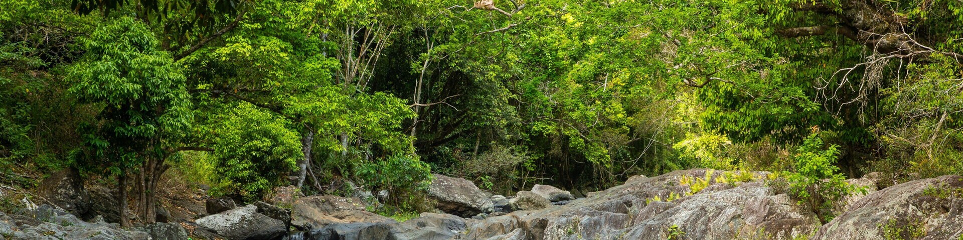 Crystal Cascades which includes a river or creek and forests