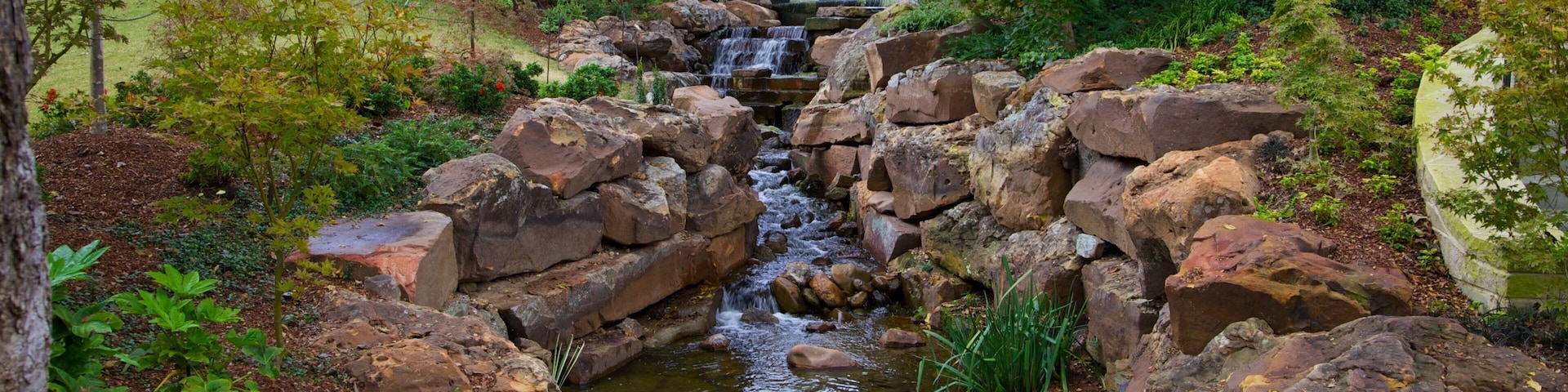 Dallas Arboretum and Botanical Garden caracterizando paisagem, um parque e um lago