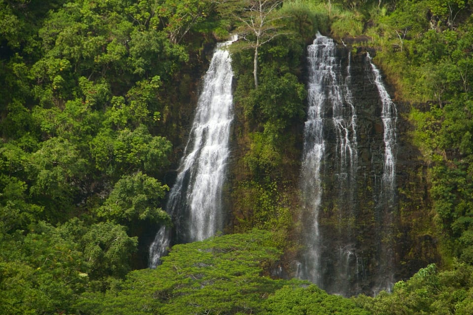 Uma cascata descendo por um morro verde e exuberante.