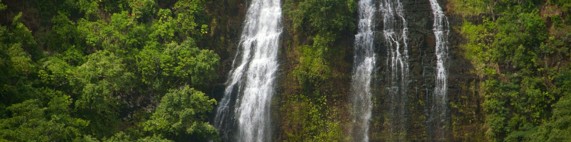 Opaekaa Falls caracterizando uma cachoeira e cenas de floresta