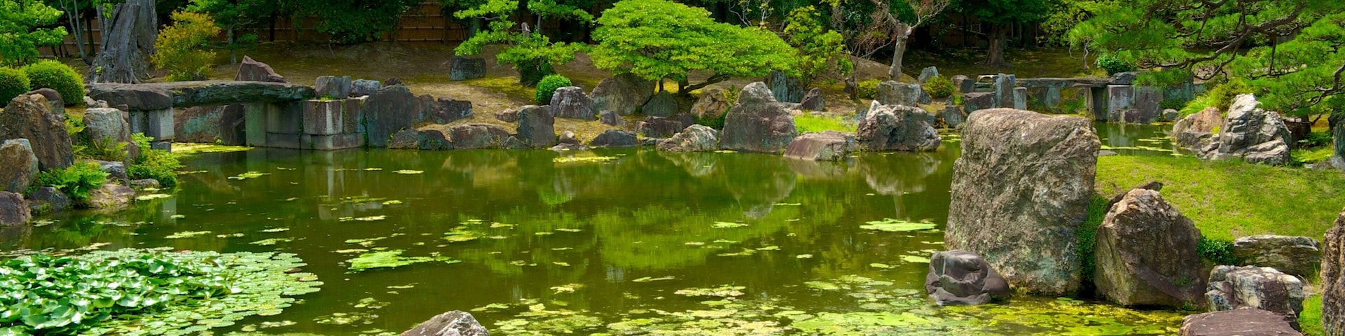 Nijo Castle showing a park and a pond