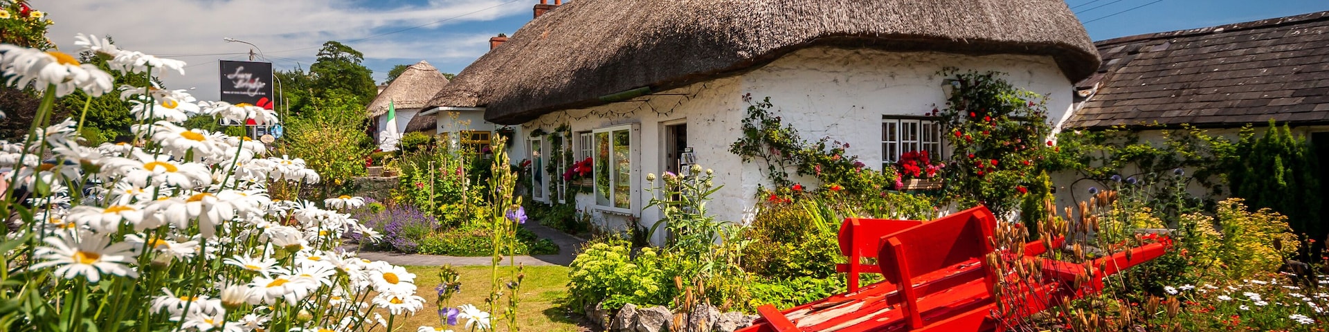 Casa com telhado de palha, rodeada por um jardim com margaridas brancas e um implemento agrícola vermelho.