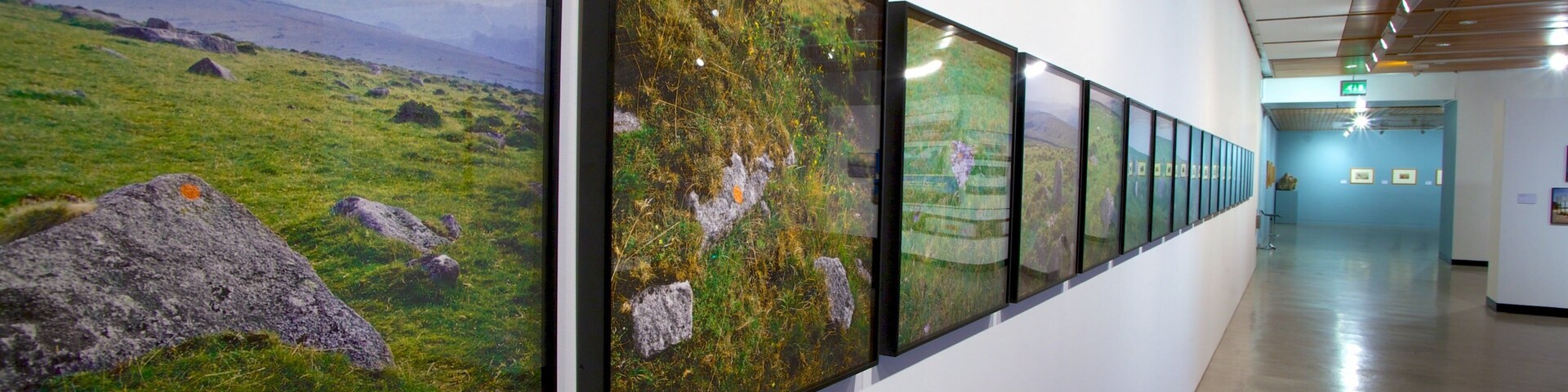 Whitworth Art Gallery featuring art and interior views