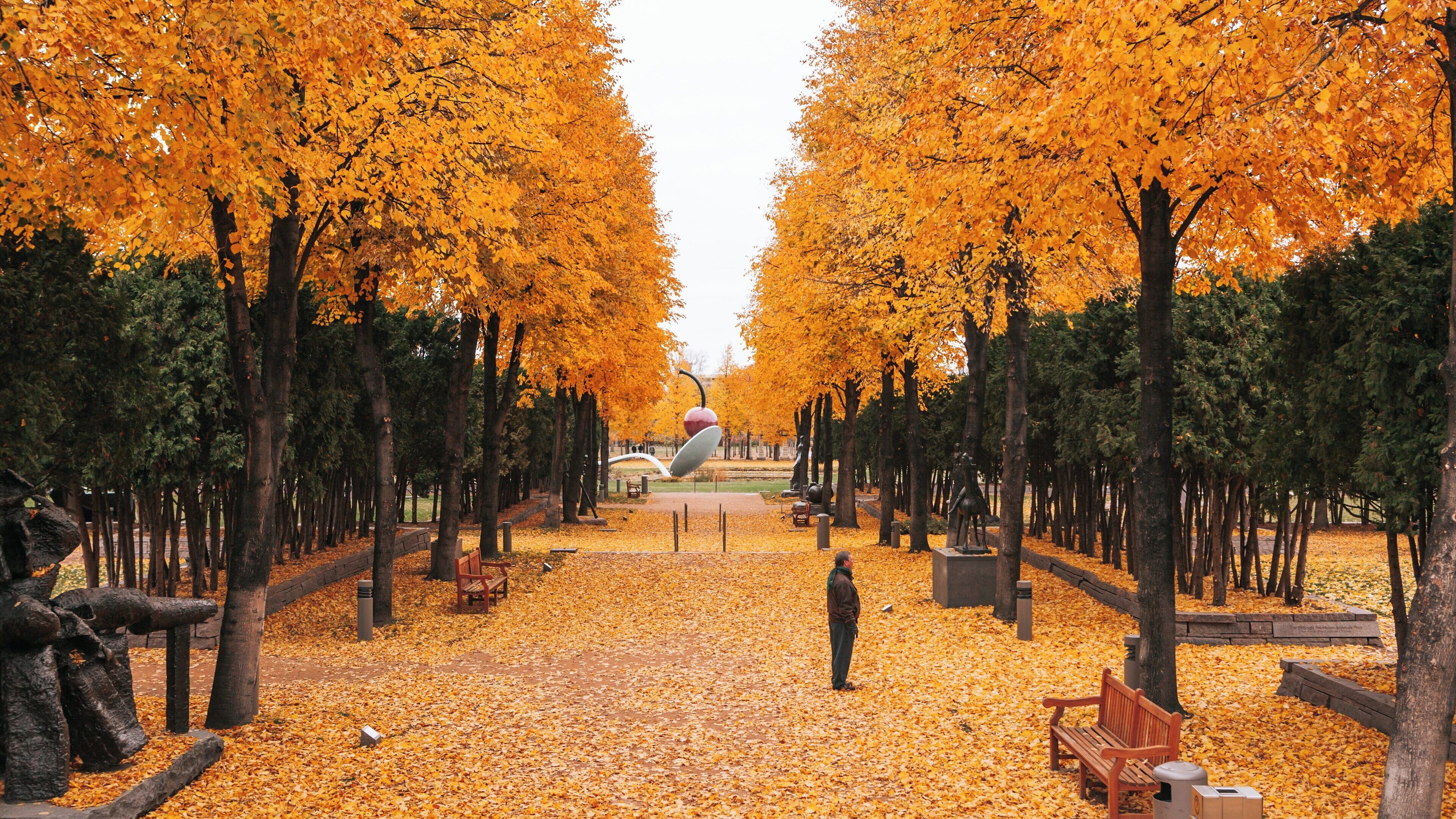 Vibrant autumn scene at Walker Art Center in downtown Minneapolis showcasing golden leaves and serene walkways