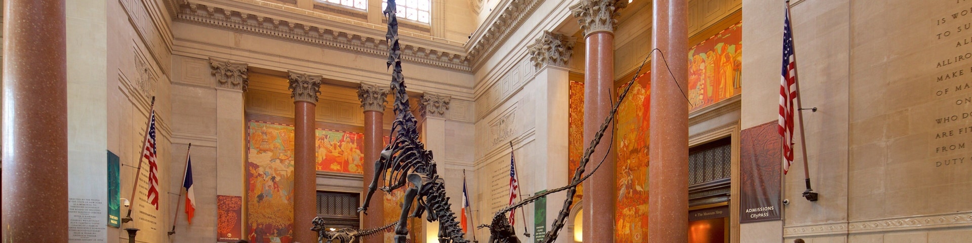American Museum of Natural History