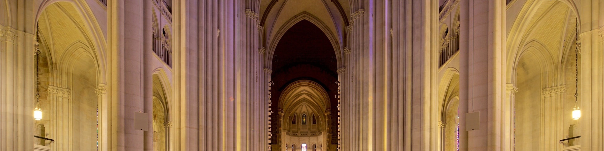Cathedral of St. John the Divine mostrando elementos de patrimĂŽnio, uma igreja ou catedral e vistas internas