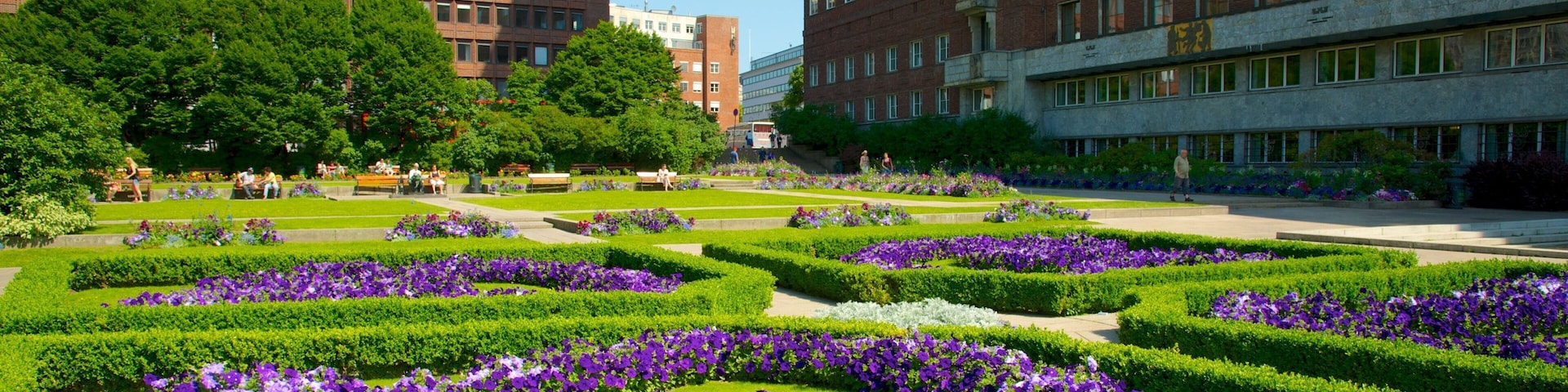 Oslo City Hall showing flowers, a park and an administrative buidling