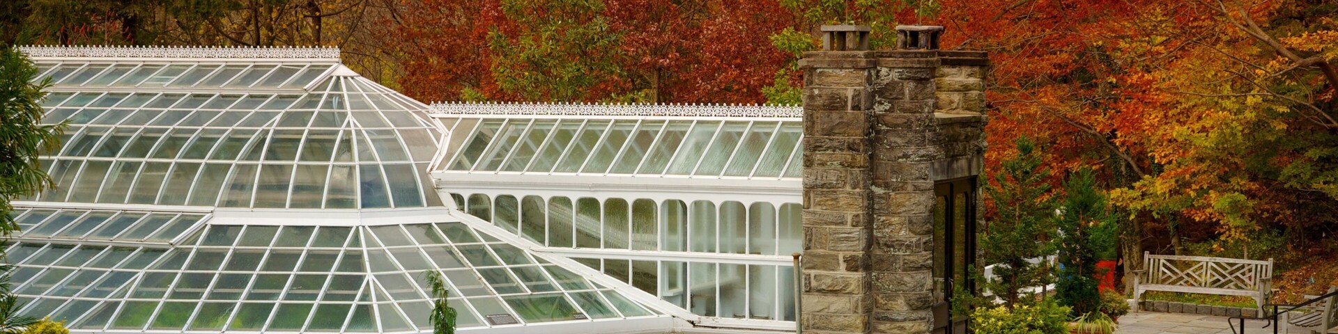 Explore the beautiful conservatory at Morris Arboretum surrounded by vibrant autumn foliage in Philadelphia, Pennsylvania