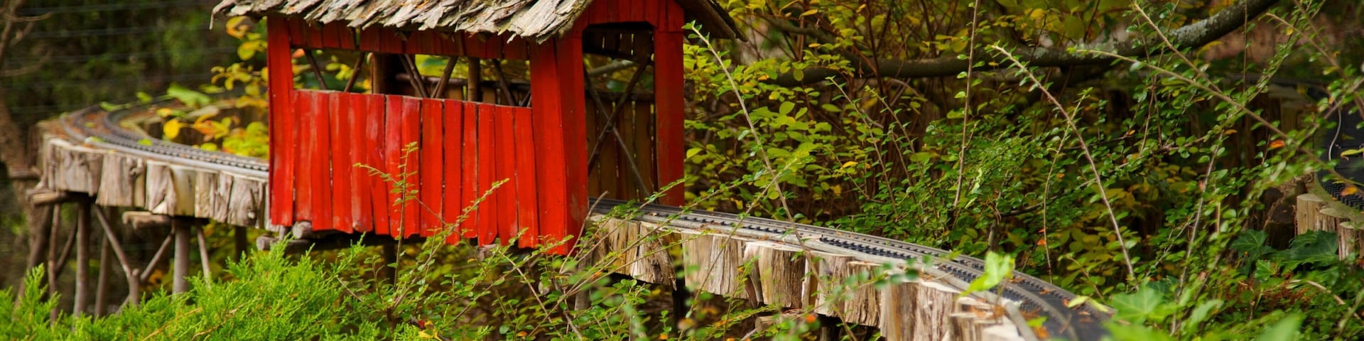 Morris Arboretum mostrando itens de ferrovia