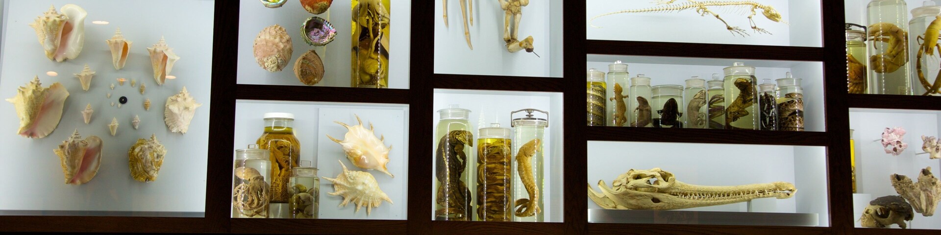 Exploring the diverse exhibits at the Academy of Natural Sciences in Philadelphia