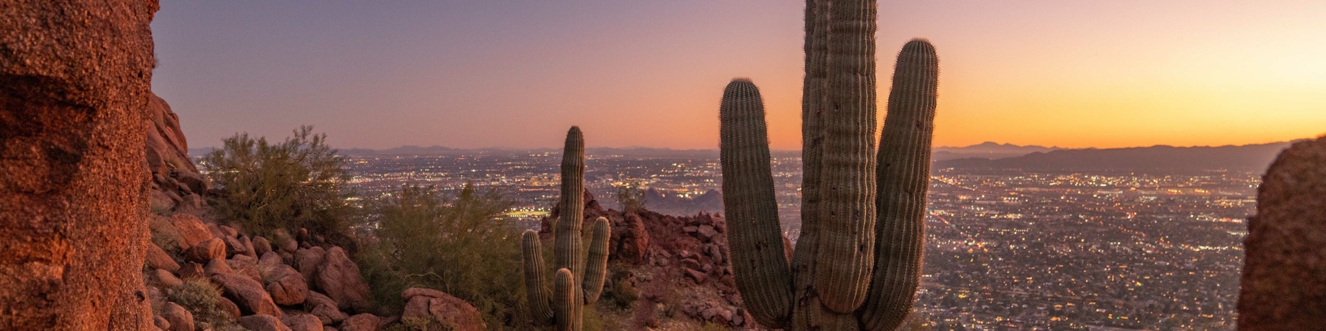 Paisagem desértica com cactos imponentes e um horizonte urbano ao fundo.
