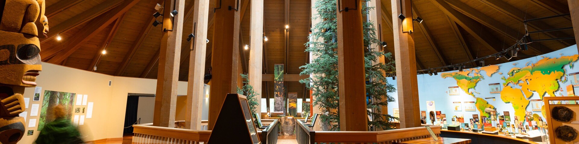 World Forestry Center showing interior views