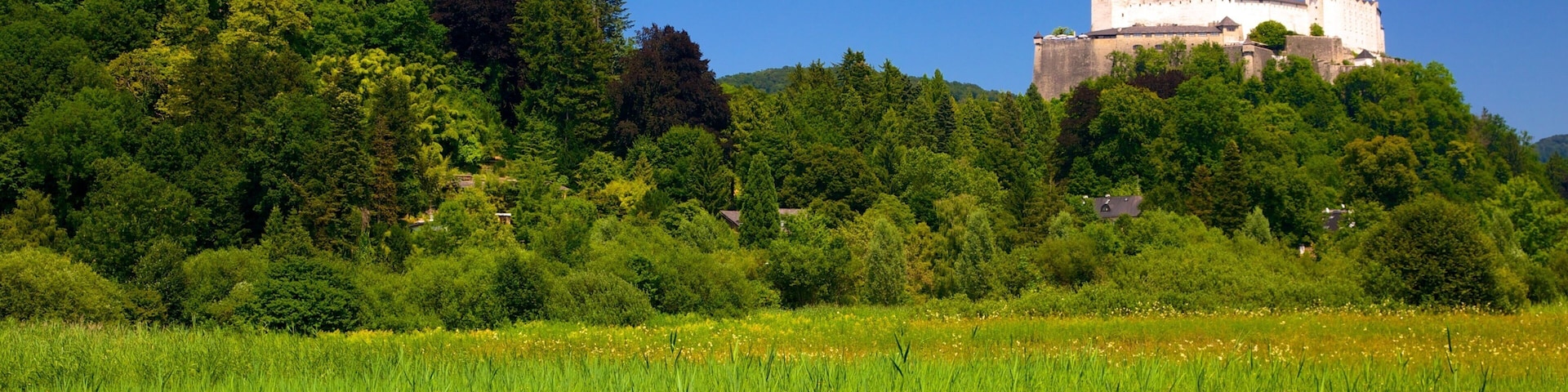 Festung Hohensalzburg which includes landscape views and a castle