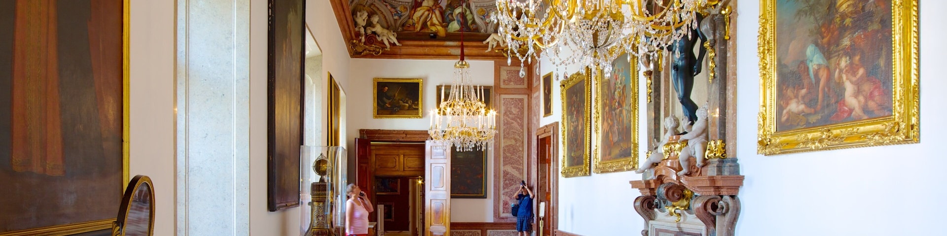 Salzburg Residenz Palace which includes interior views and art