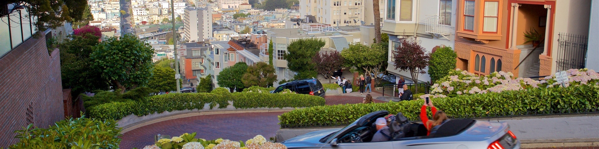 Lombard Street featuring flowers and a garden