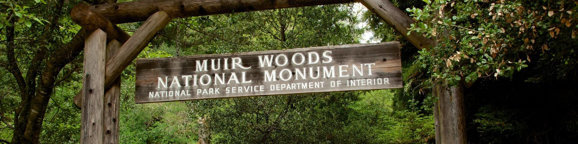 Muir Woods caracterizando florestas e sinalização
