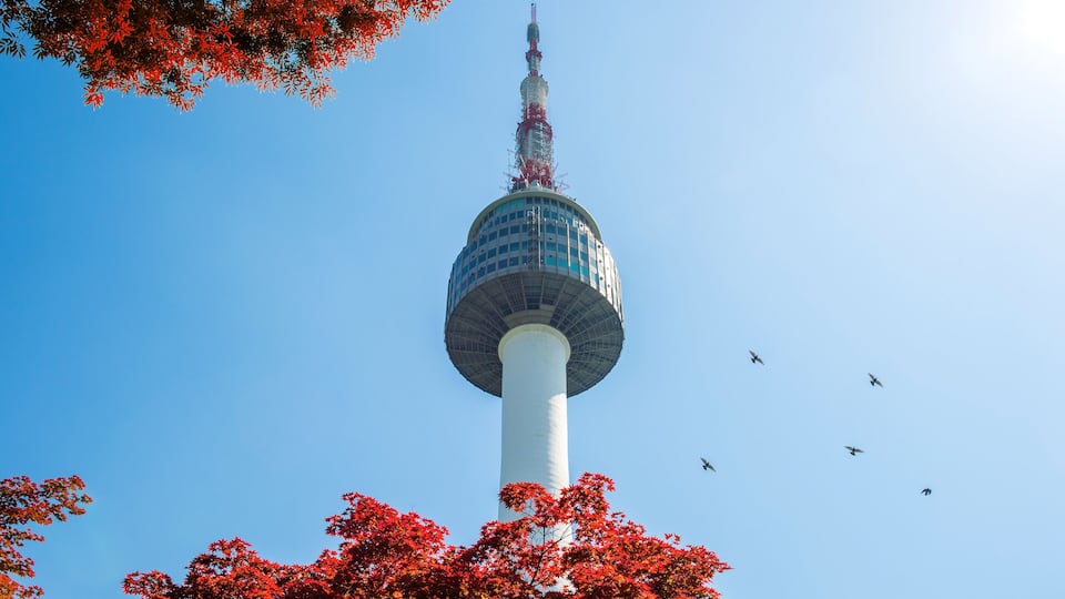 Uma torre com um deque de observação esférico, rodeada por folhagem avermelhada.